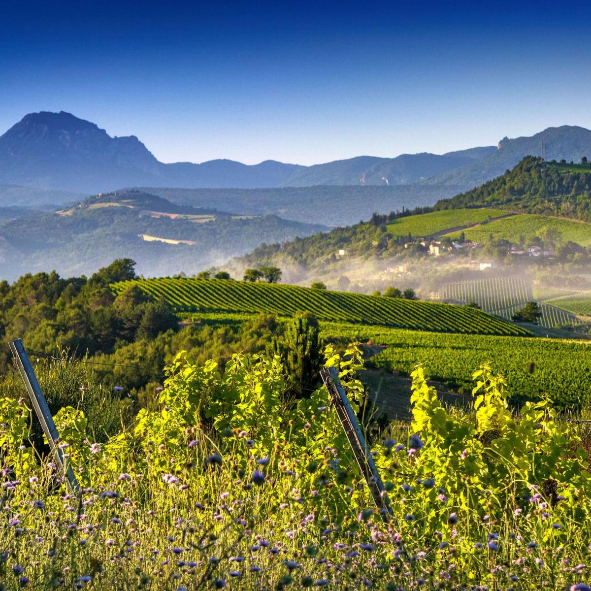 Limouxin Tourisme – Site Officiel de l’Office de tourisme du Limouxin